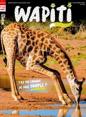 Abonnement Wapiti | Abonnement magazine par Toutabo.com