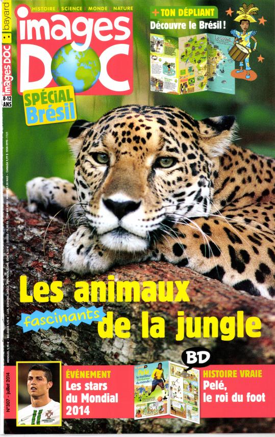 Images Doc n° 307 – Abonnement Images Doc | Abonnement magazine par ...